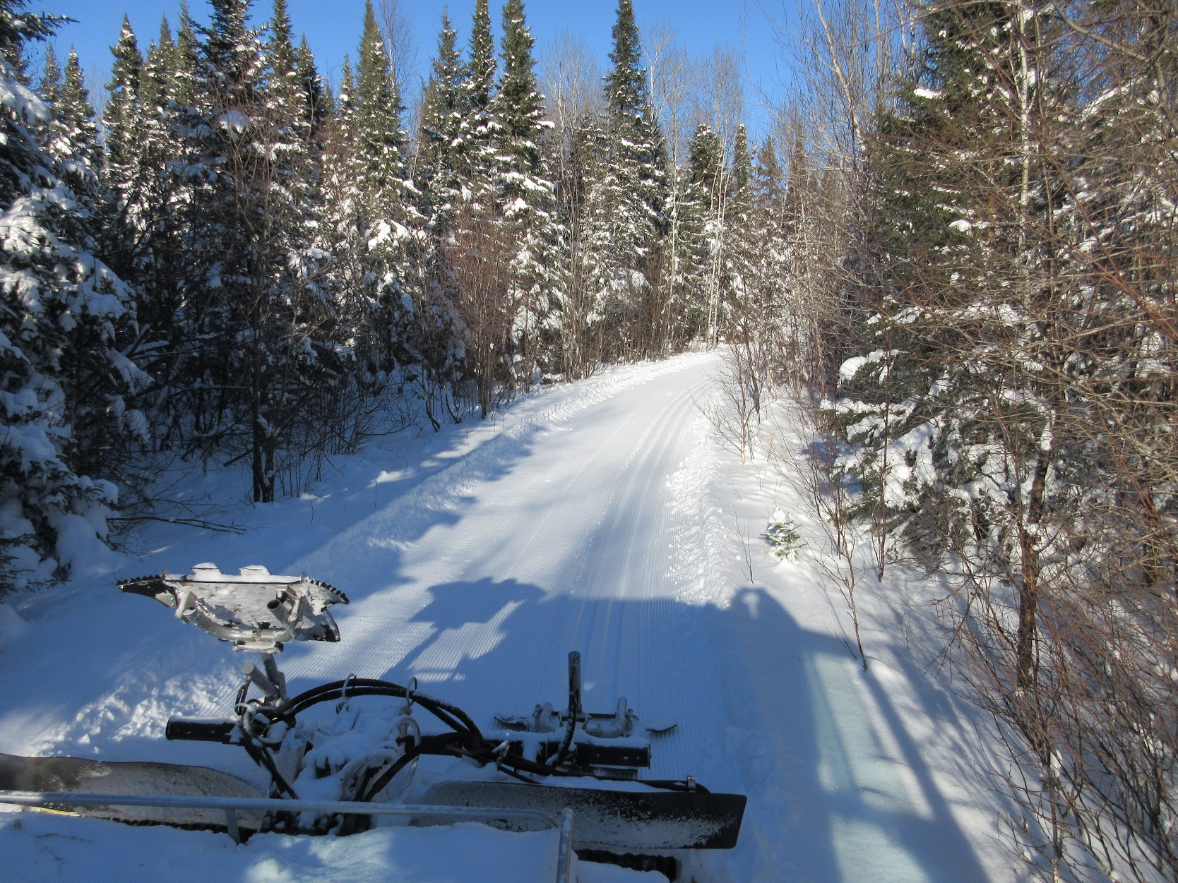 01 | January | 2021 | Bearskin Lodge Ski Trail Reports